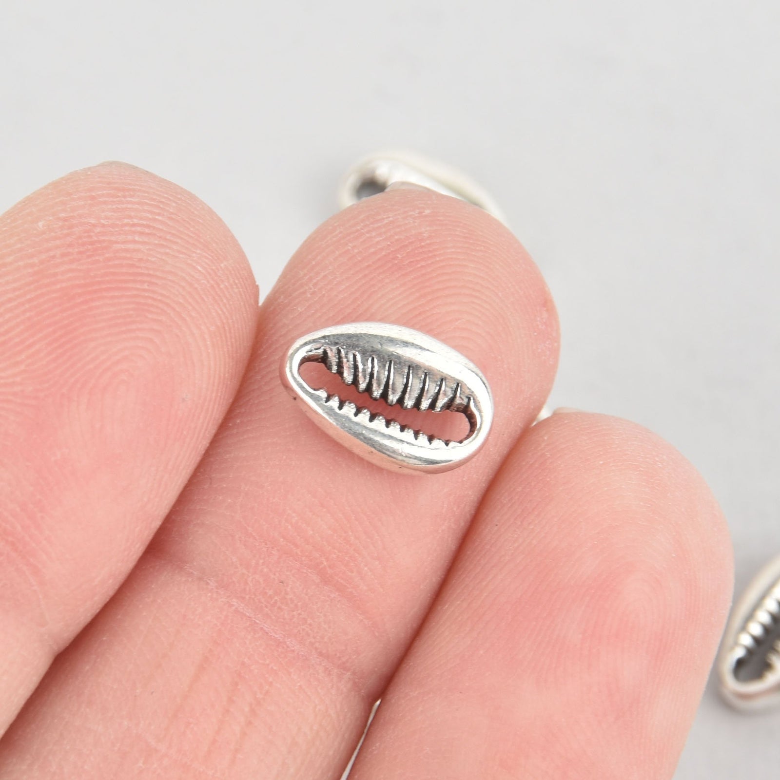 10 Silver SEASHELL Charms Cowrie Shell Coffee Bean Shells 12mm chs5498