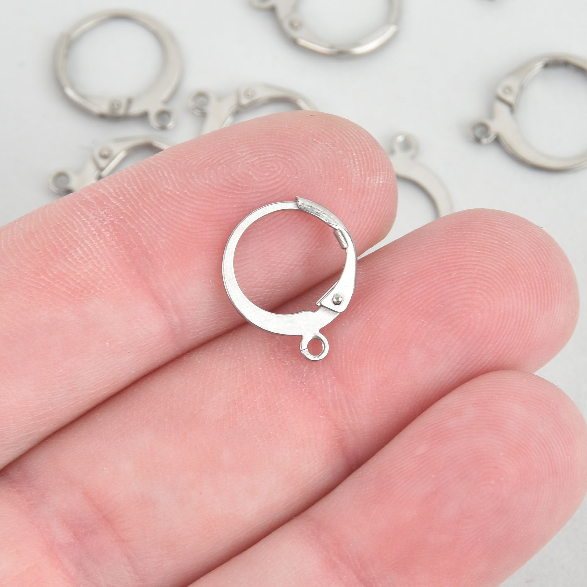10 STAINLESS STEEL Metal Lever Back Earrings Ear Wires (5 pairs) fin08